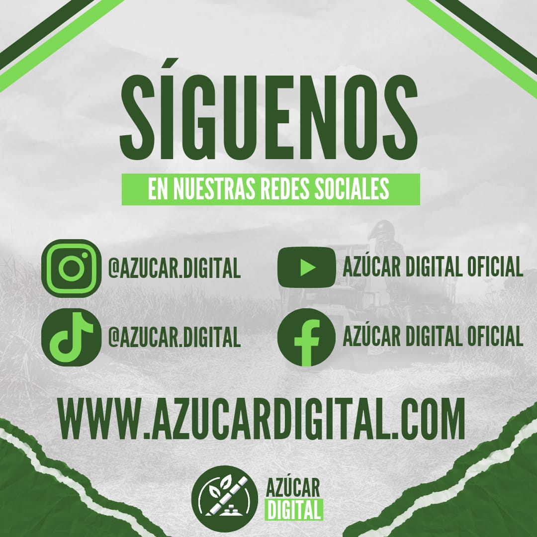 Estiman crecimiento en producción de azúcar en México en ciclo 2024 ...